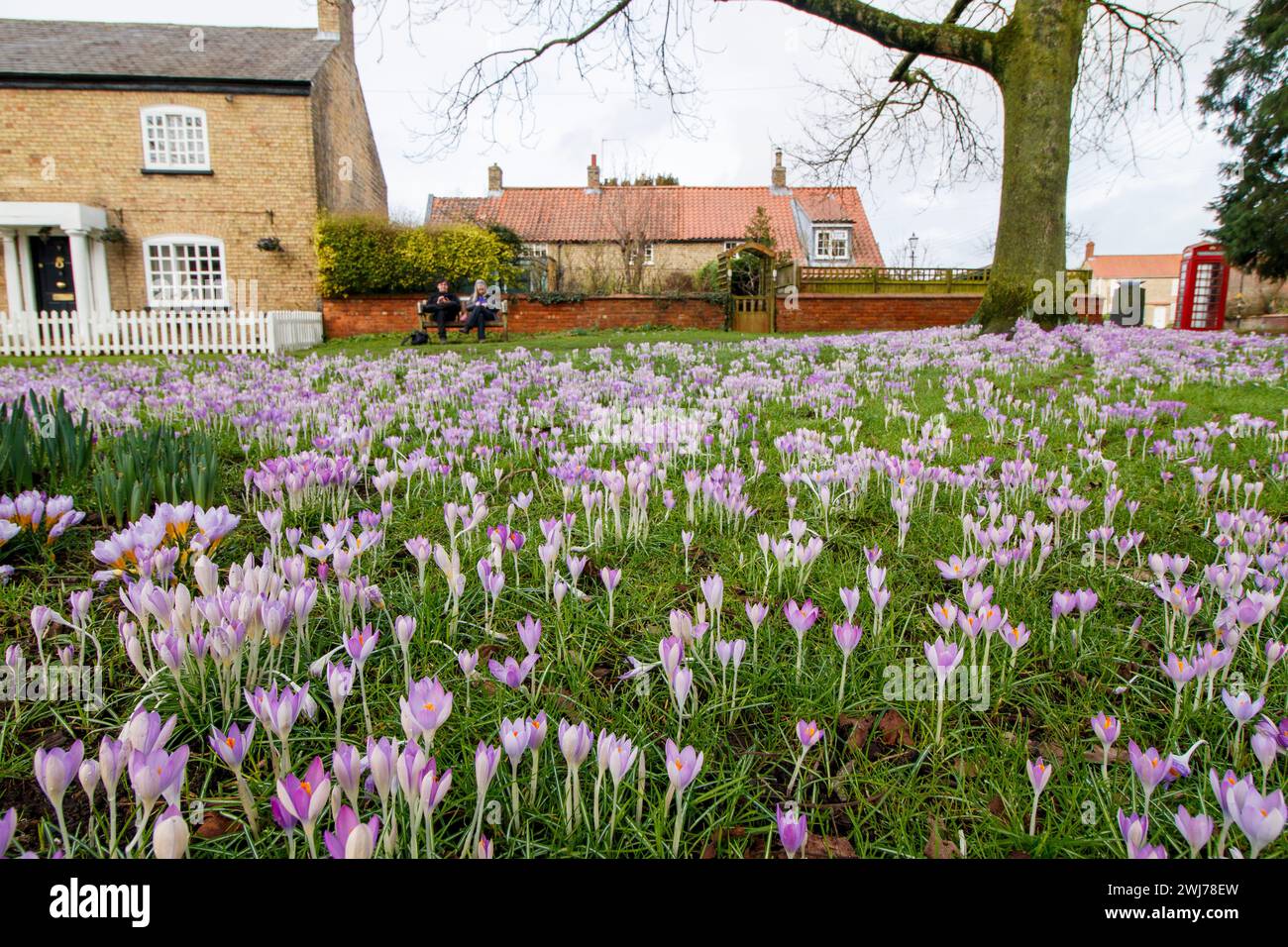The village Green in the centre of the picturesque village of Nettleham ...