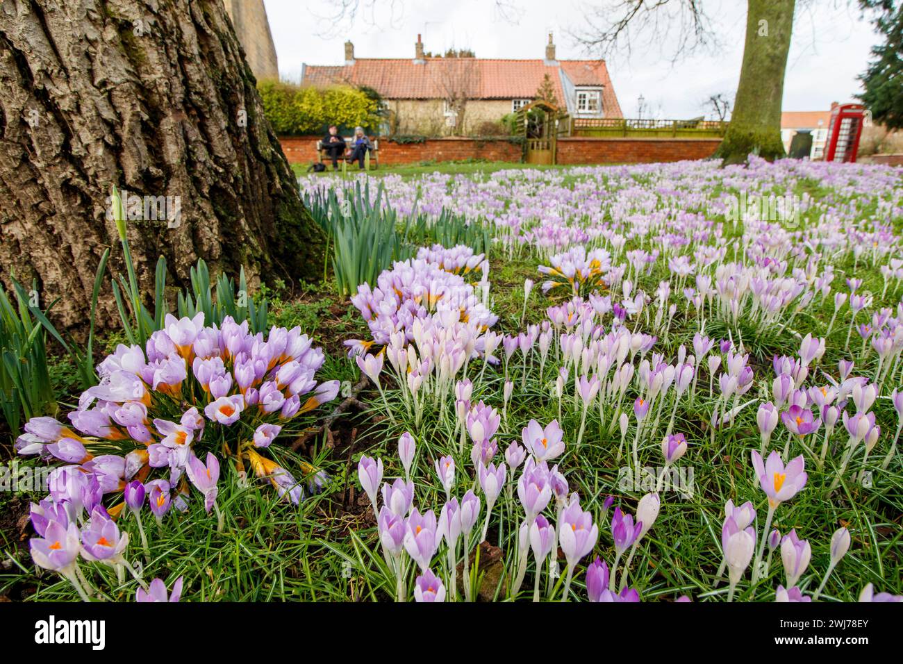 The village Green in the centre of the picturesque village of Nettleham ...