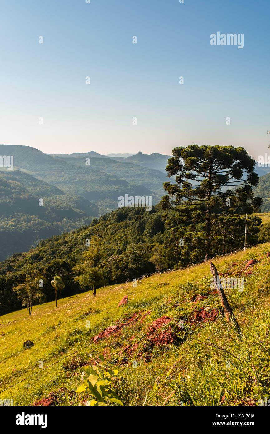 Vale das piramides hi-res stock photography and images - Alamy