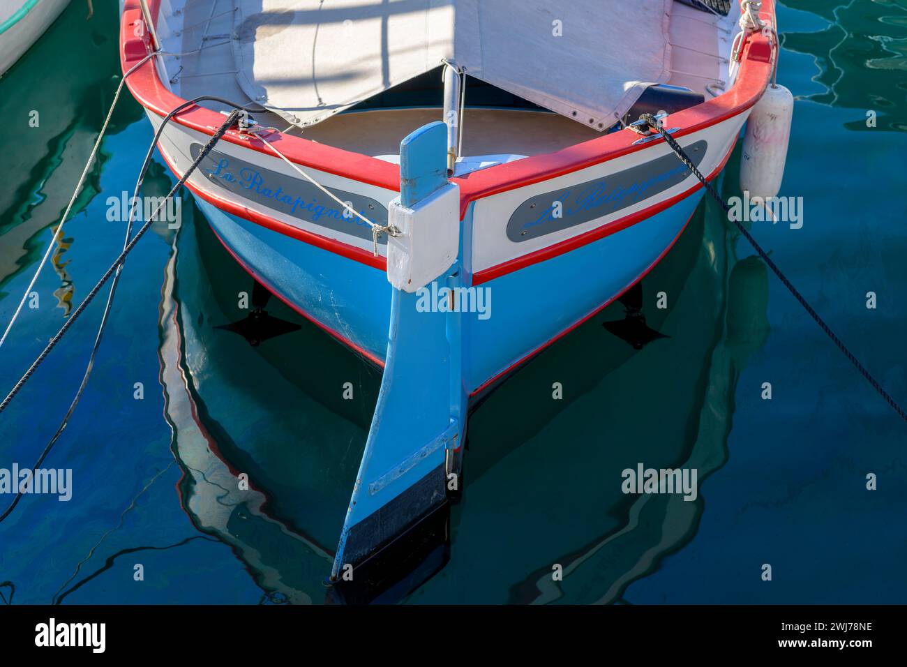 Blue pointus hi-res stock photography and images - Alamy