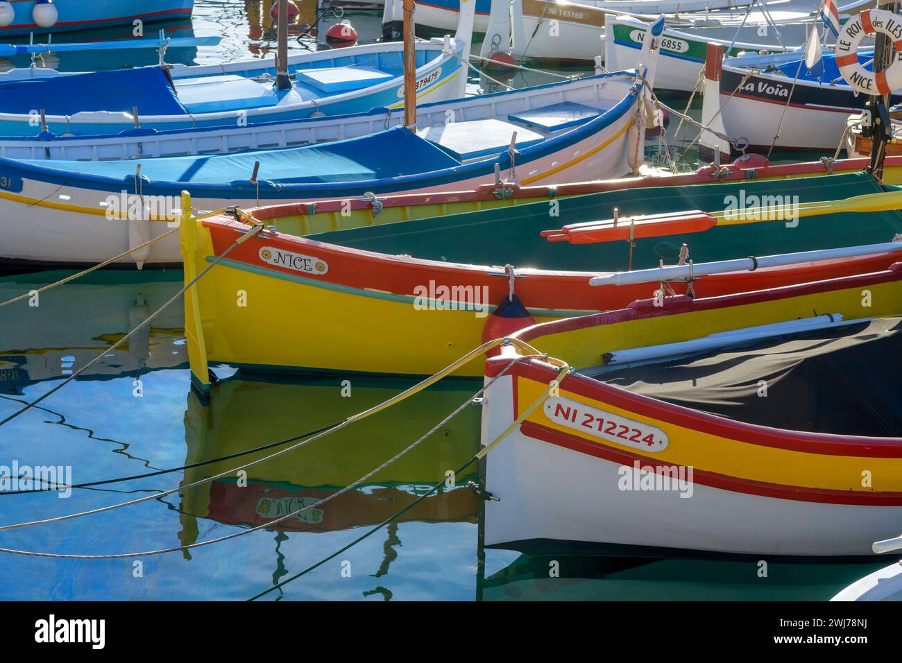 Yellow pointus hi-res stock photography and images - Alamy