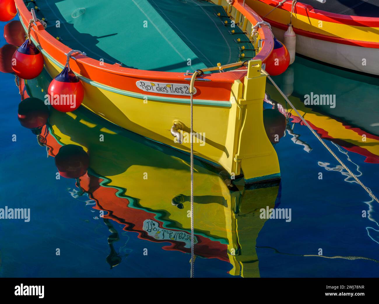 Yellow pointus hi-res stock photography and images - Alamy