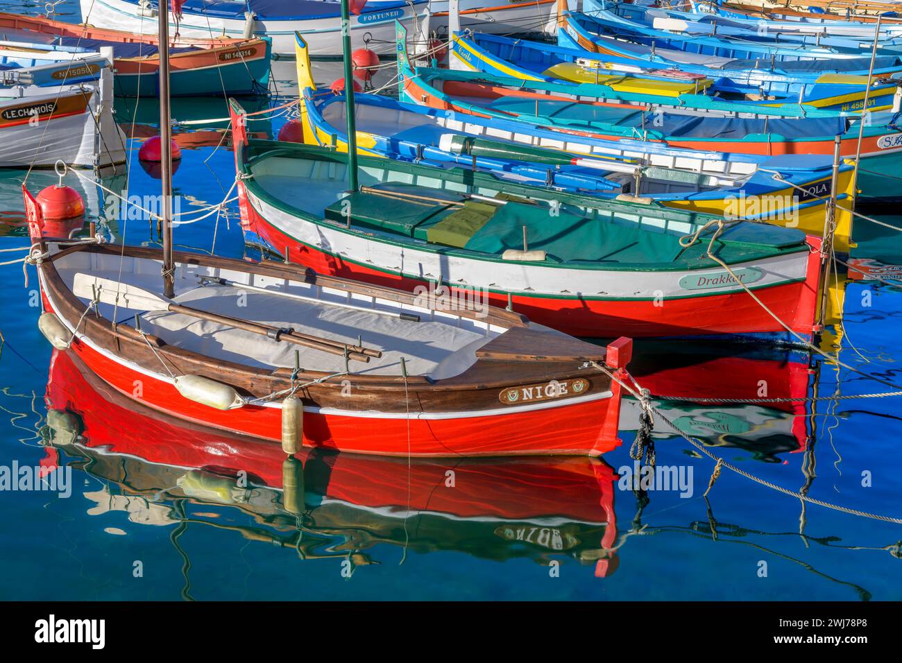 Pointus called nice hi-res stock photography and images - Alamy