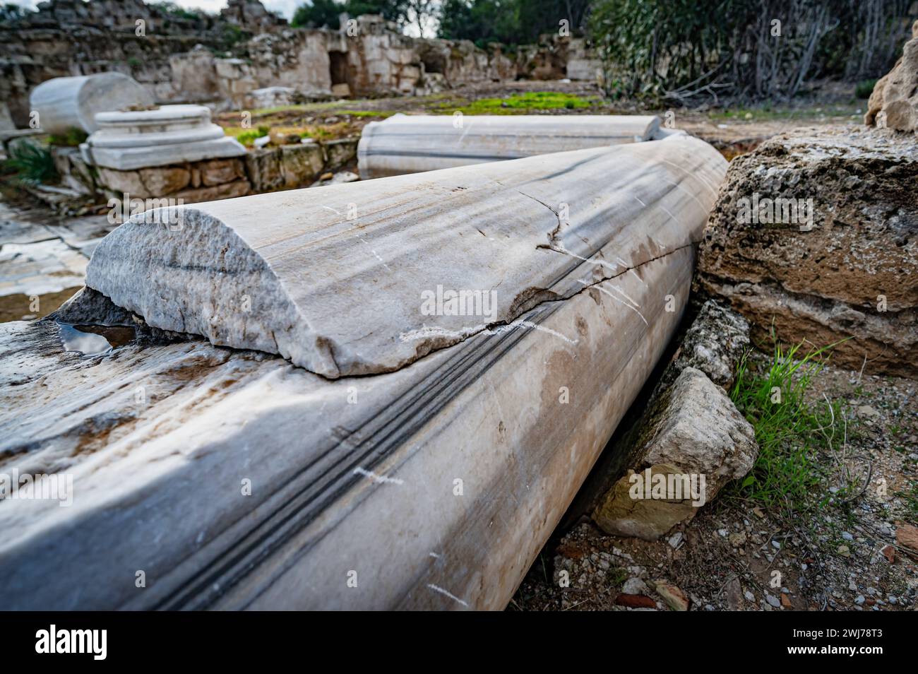 Beside tall grass hi-res stock photography and images - Alamy