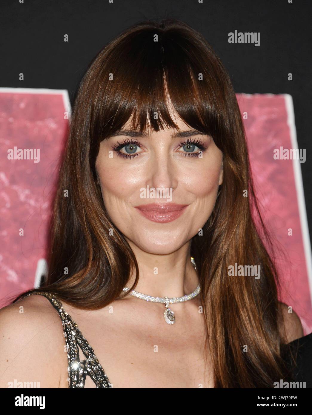 LOS ANGELES, CALIFORNIA - FEBRUARY 12: Dakota Johnson attends the World ...