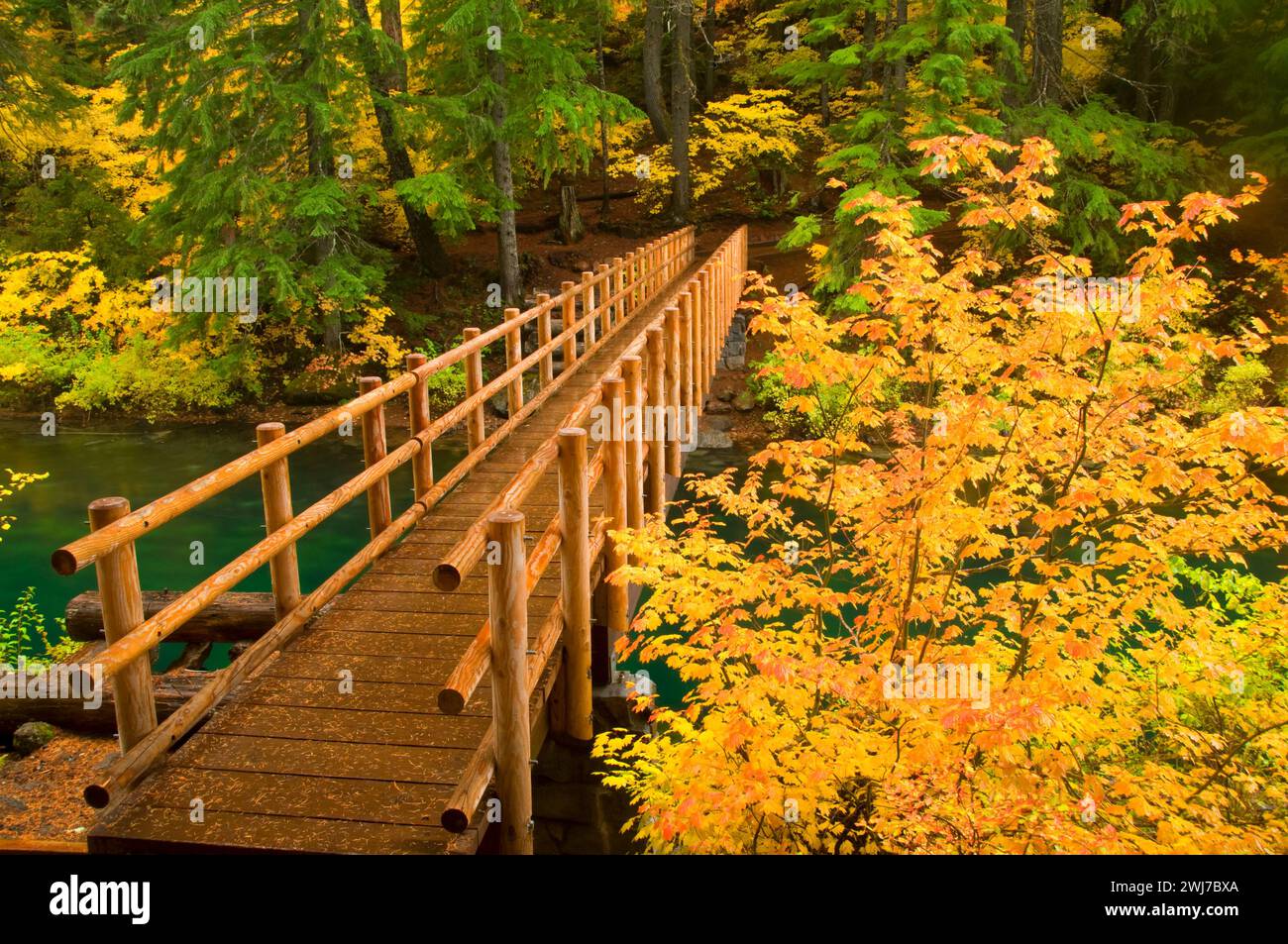 Clear Lake, McKenzie Pass-Santiam Pass National Scenic Byway ...
