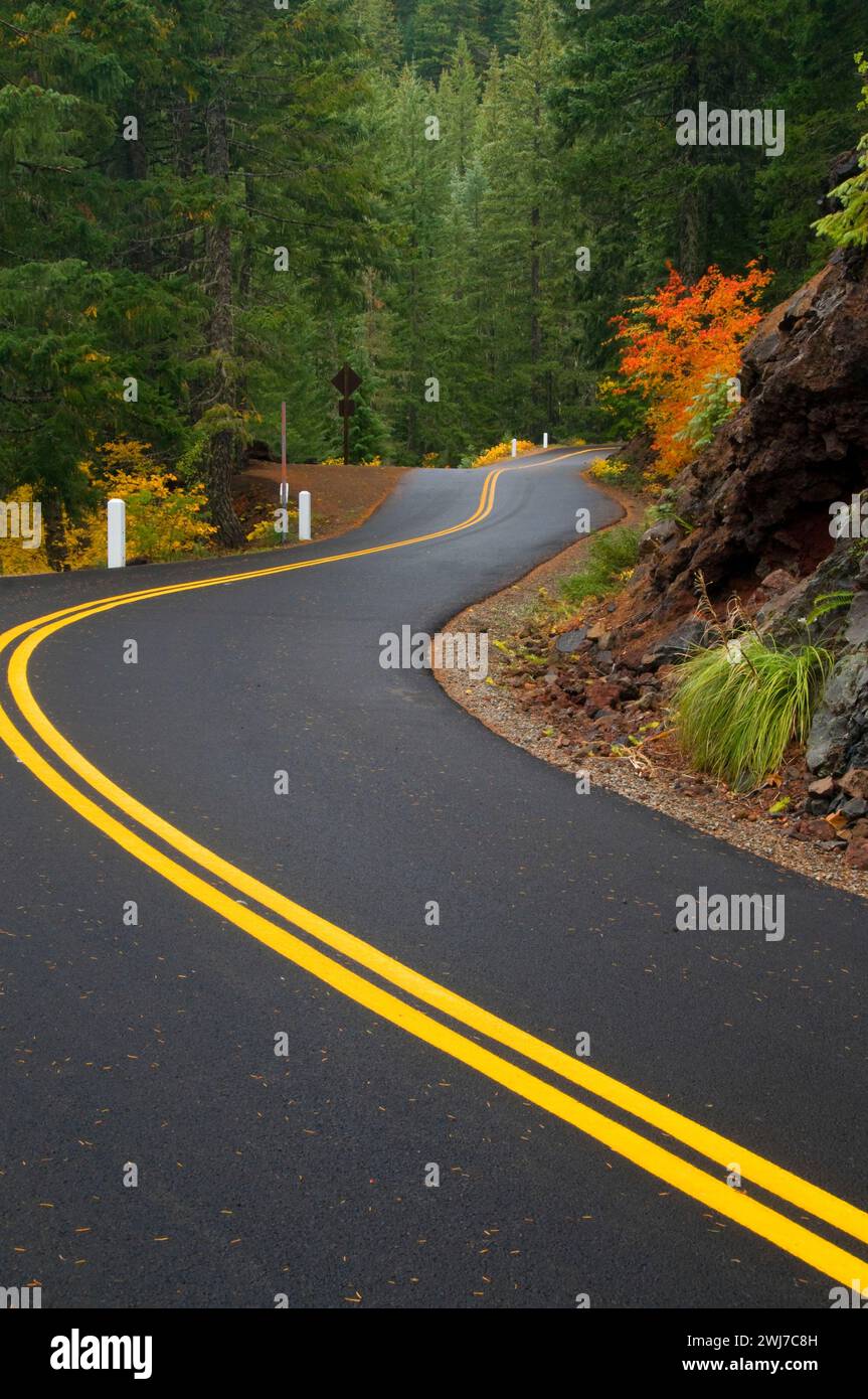 McKenzie Pass-Santiam Pass National Scenic Byway, Willamette National ...