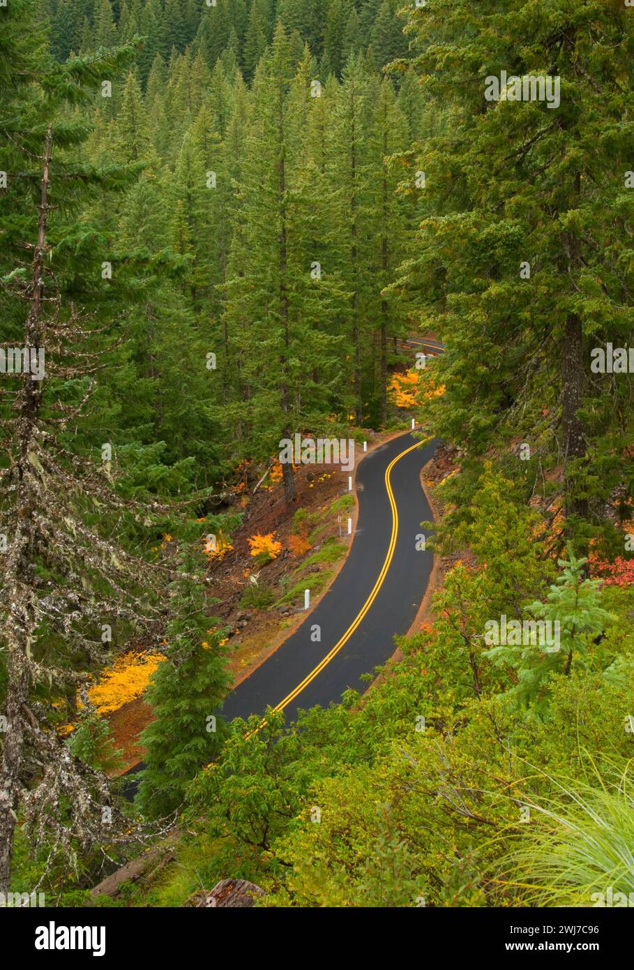 McKenzie Pass-Santiam Pass National Scenic Byway, Willamette National ...
