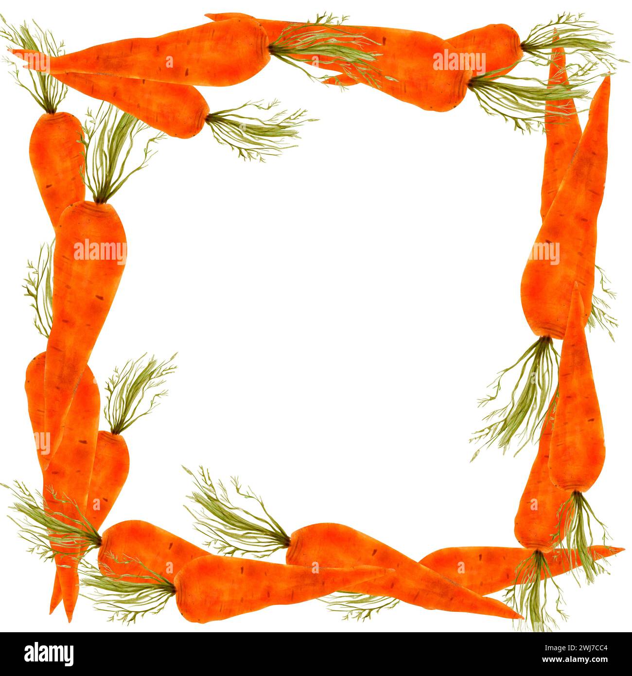 Frame with carrots, hand drawn. Watercolor vegetable illustration, menu ...