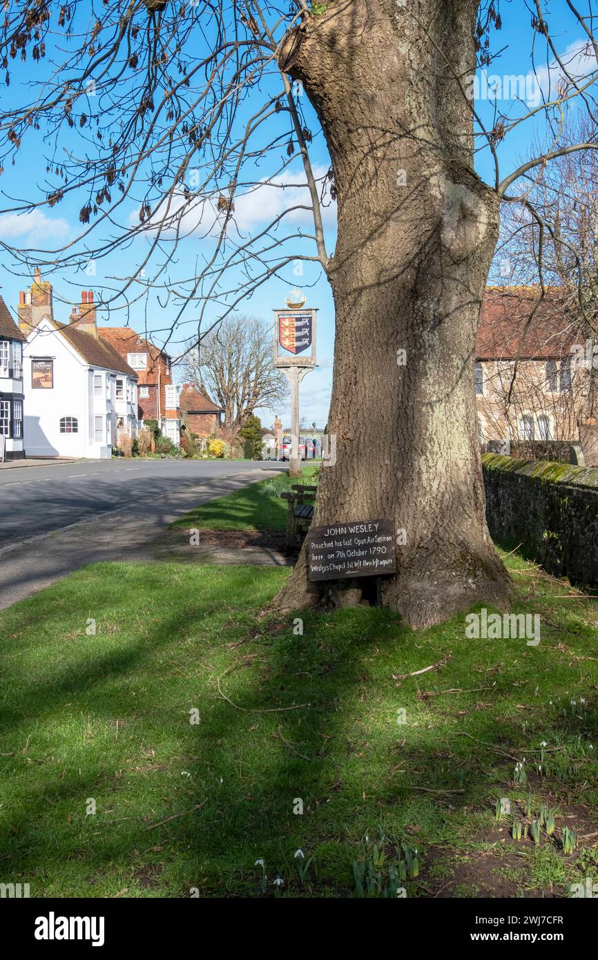 John wesley tree hi-res stock photography and images - Alamy