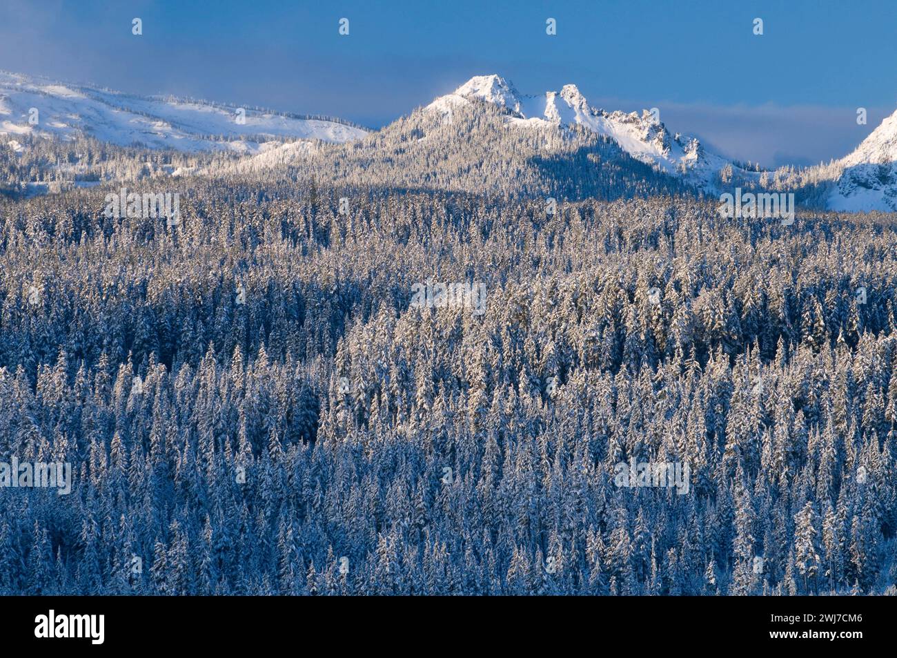 Divide ridgeline near Mt Yoran from Oregon Highway 58, Willamette ...