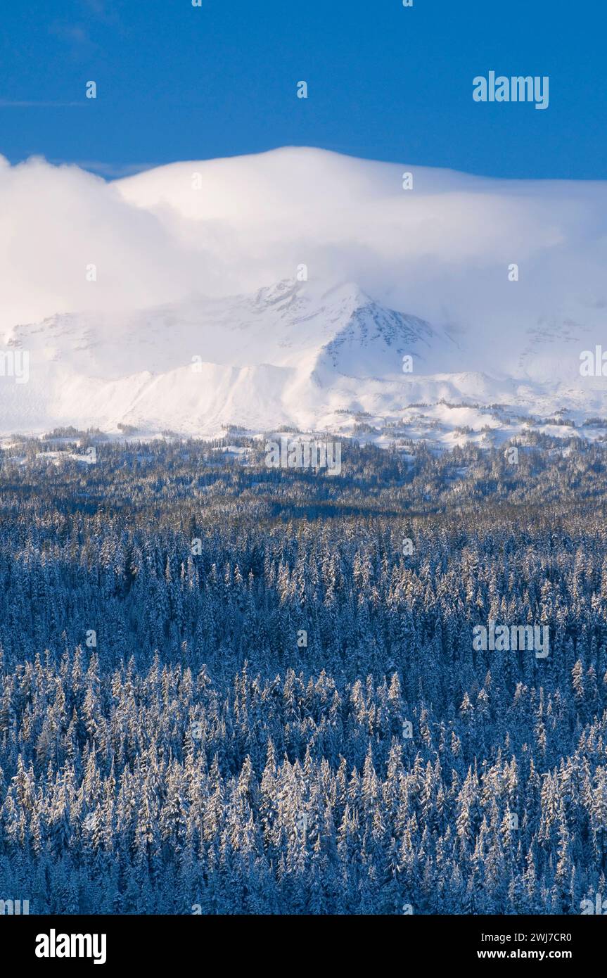 Diamond Peak from Oregon Highway 58, Willamette National Forest, Oregon ...
