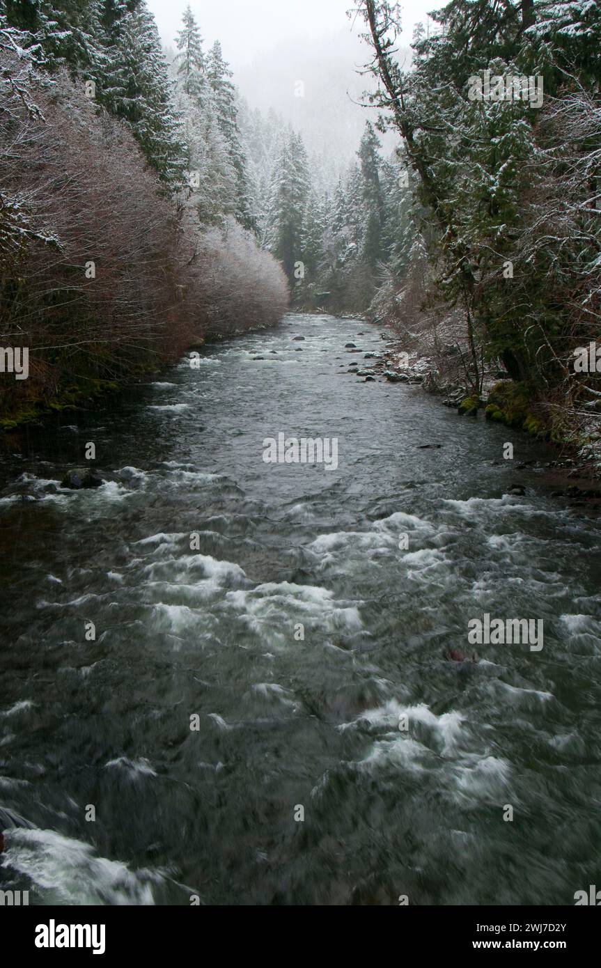 North Santiam River, Willamette National Forest, Oregon Stock Photo - Alamy