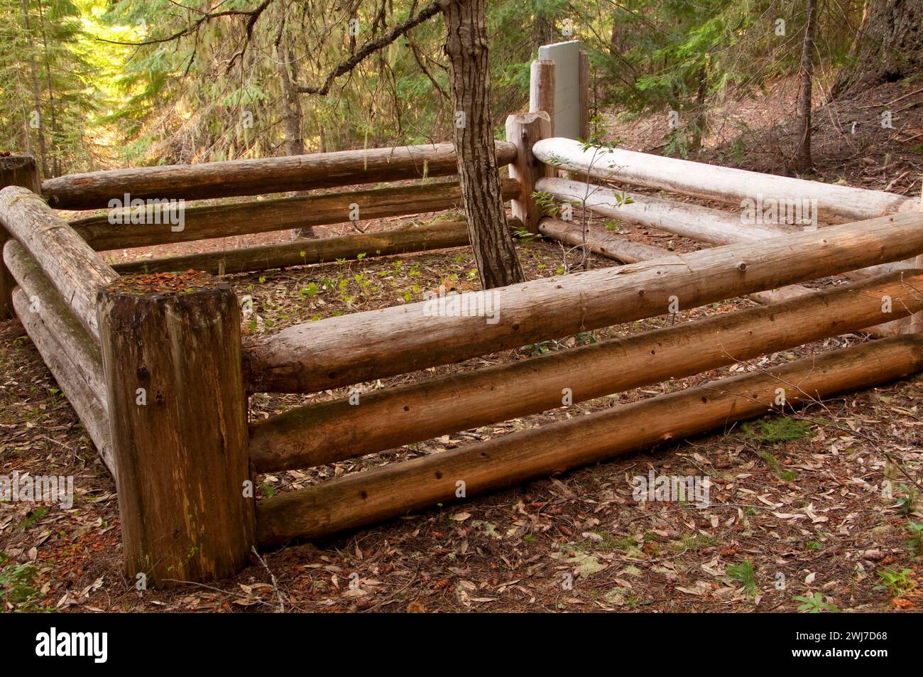 Marks grave at Fish Lake Guard Station, McKenzie Pass-Santiam Pass ...