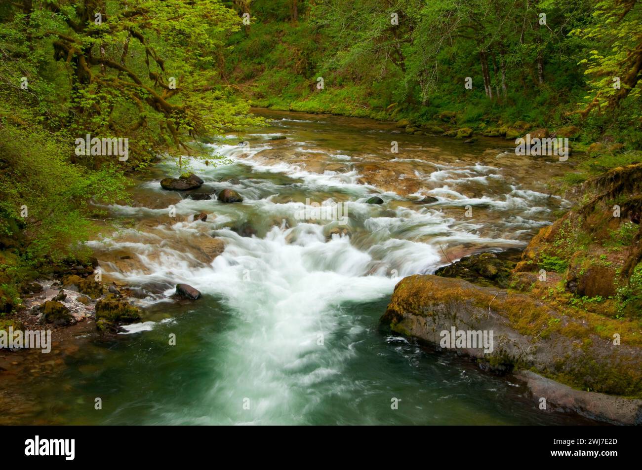 South Santiam River, Over the River and Through the Woods Scenic Byway ...