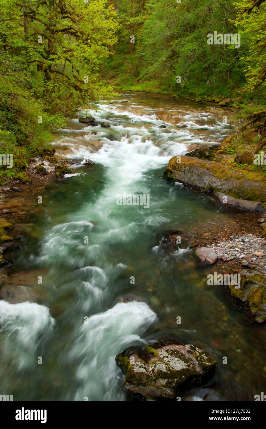 South Santiam River, Over the River and Through the Woods Scenic Byway ...