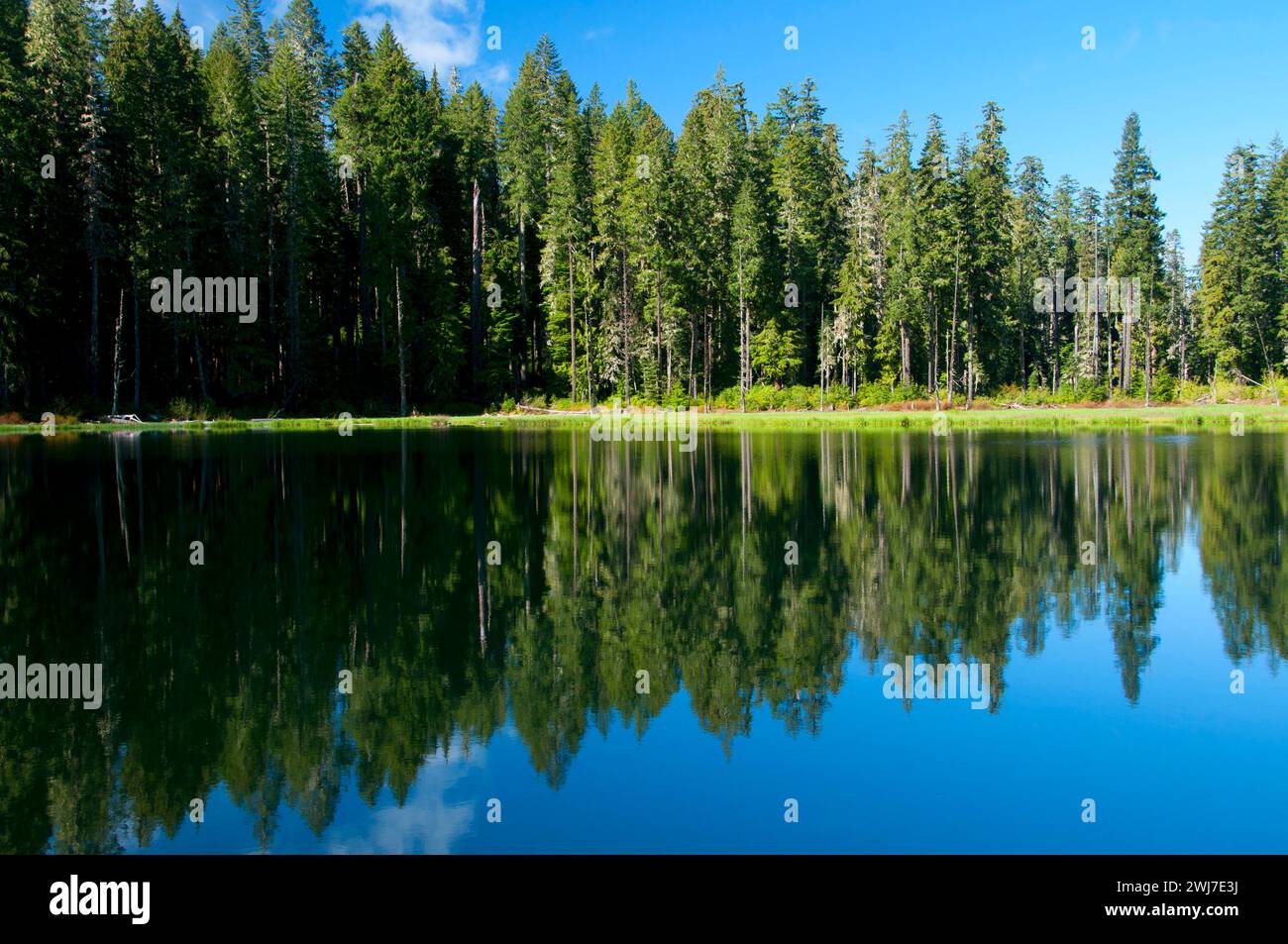 Parrish Lake, Willamette National Forest, Oregon Stock Photo - Alamy