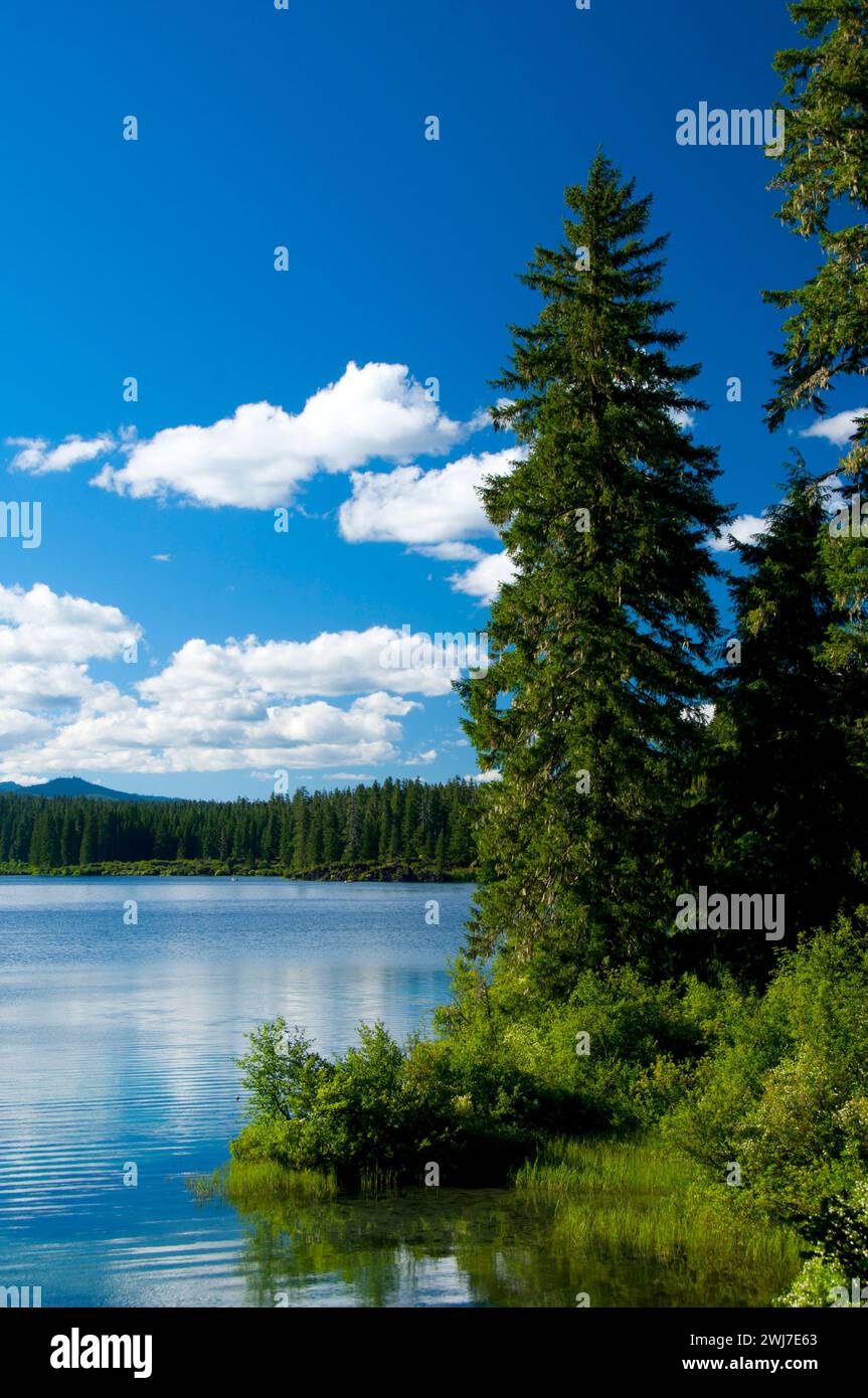 Clear Lake, McKenzie Pass-Santiam Pass National Scenic Byway ...