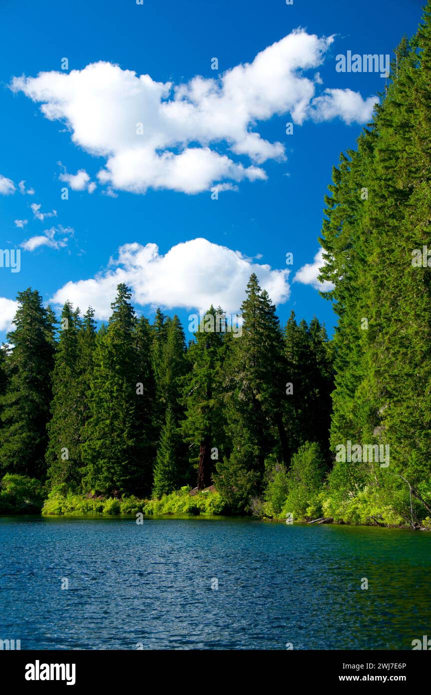 Clear Lake, McKenzie Pass-Santiam Pass National Scenic Byway ...