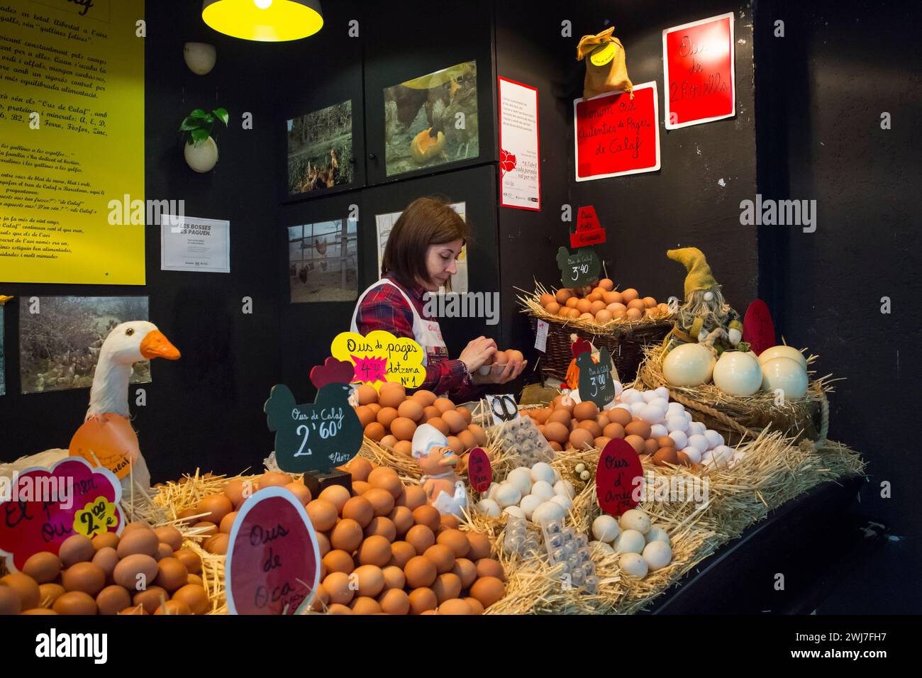 Egg stall with its owner putting some of them in an egg carton in the ...