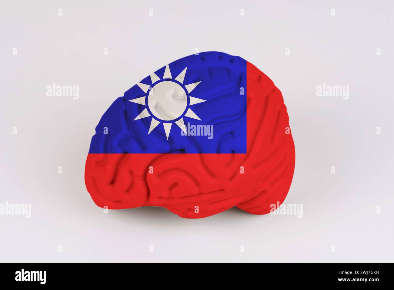 On a white background, a model of the brain with a picture of a flag ...