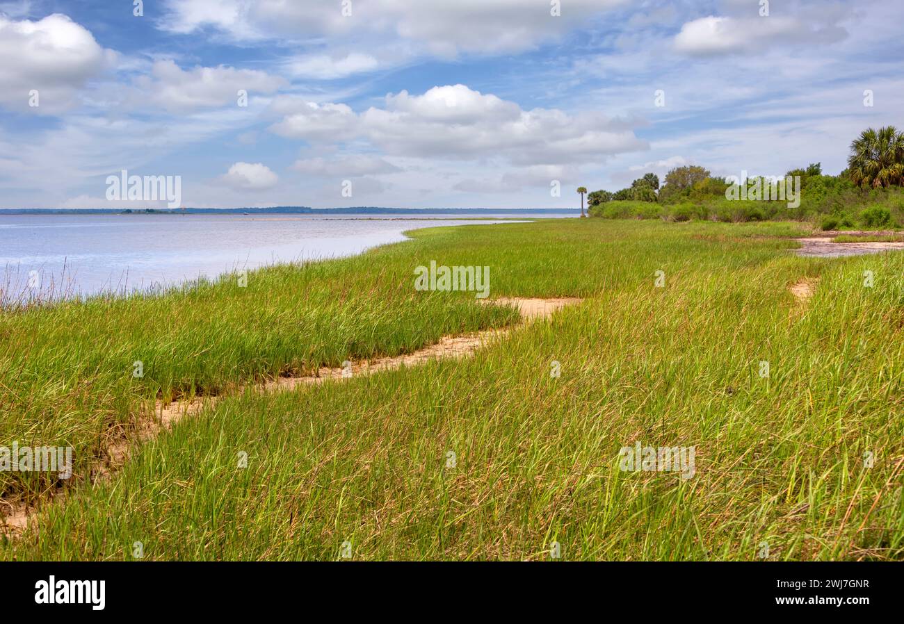 Coastal shoreline of the Saint Marks River, at Saint Marks National ...