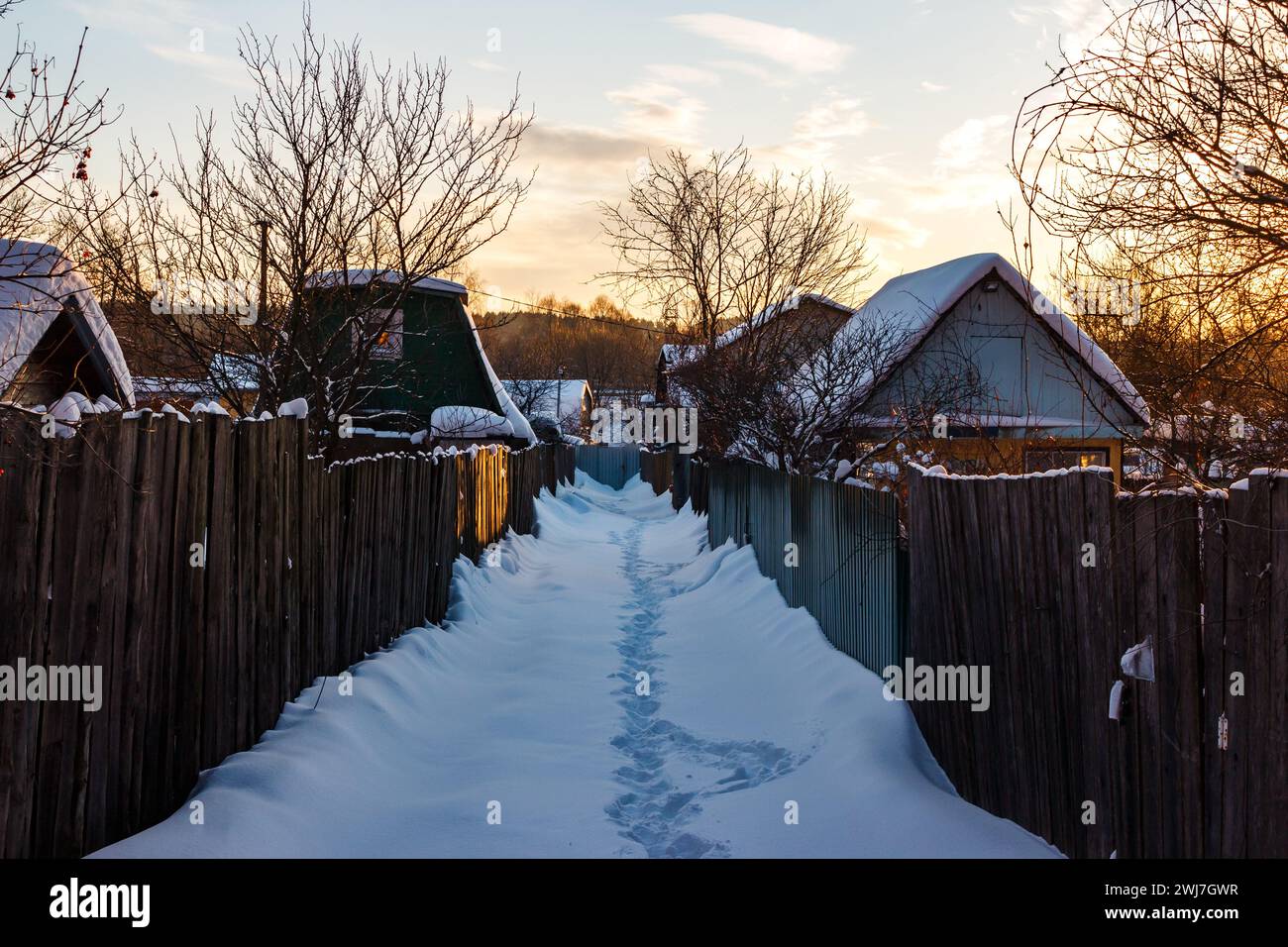 Pastoral view of dacha buildings and a snow-covered alley on a winter ...