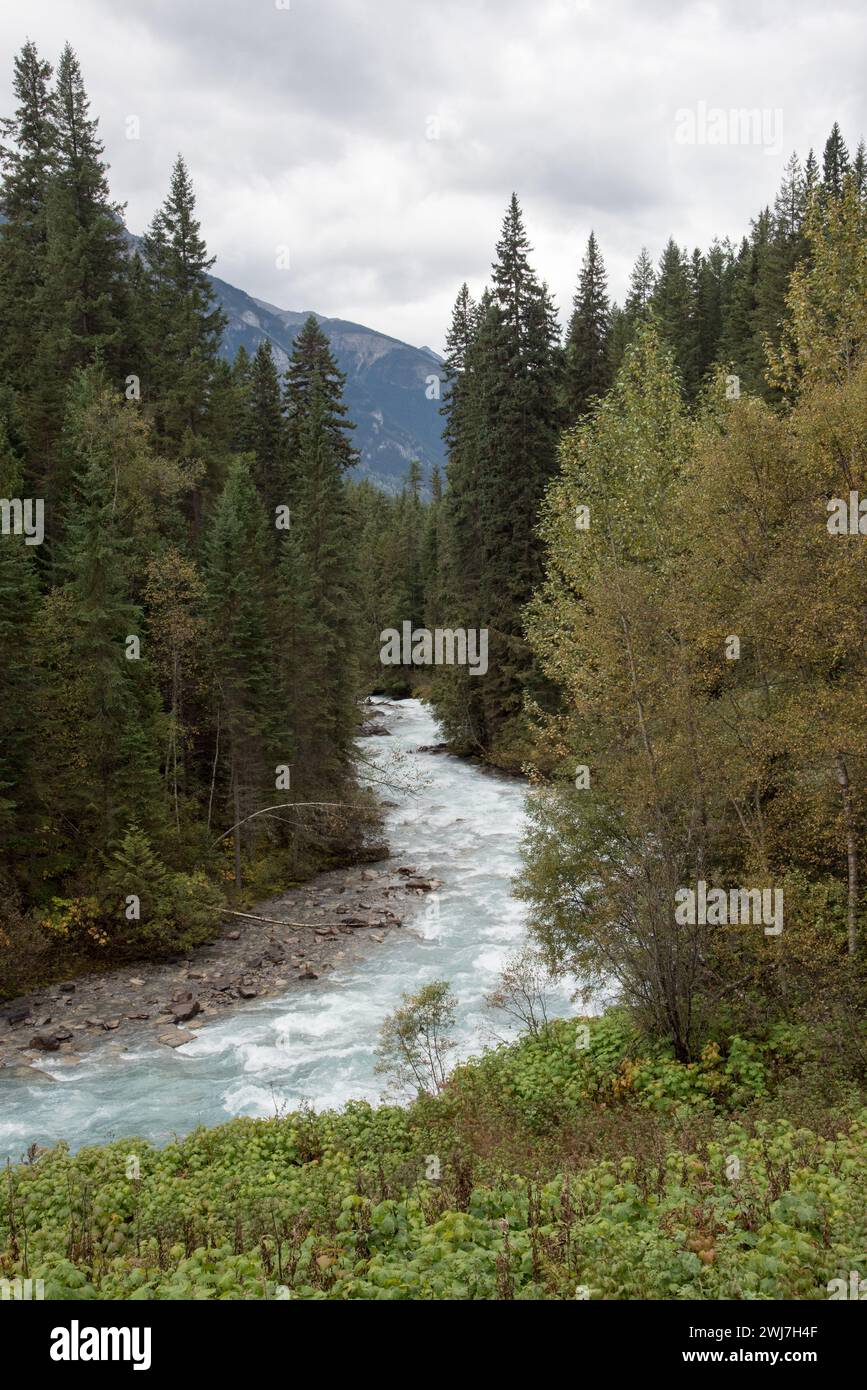Robson River is running towered by the highest mountain of the Canadian ...