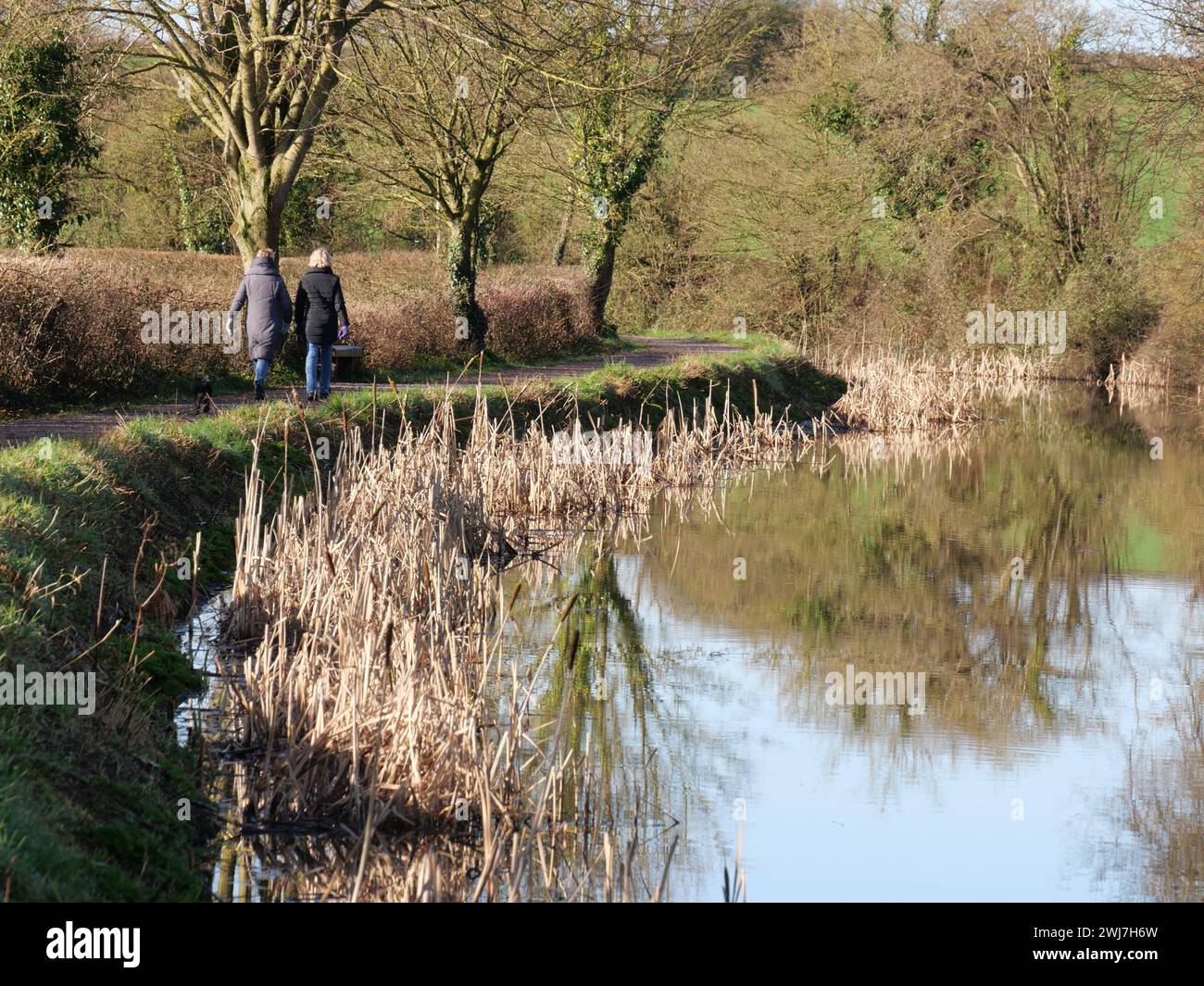 Two women walking together on a canal towpath. Grand Western Canal, Tiverton, Devon, UK Stock ...