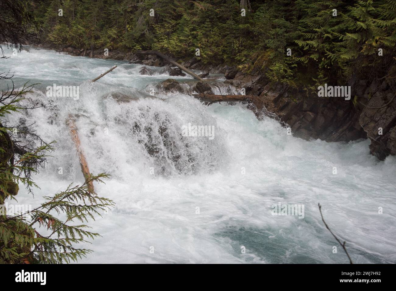 Robson River is running towered by the highest mountain of the Canadian ...