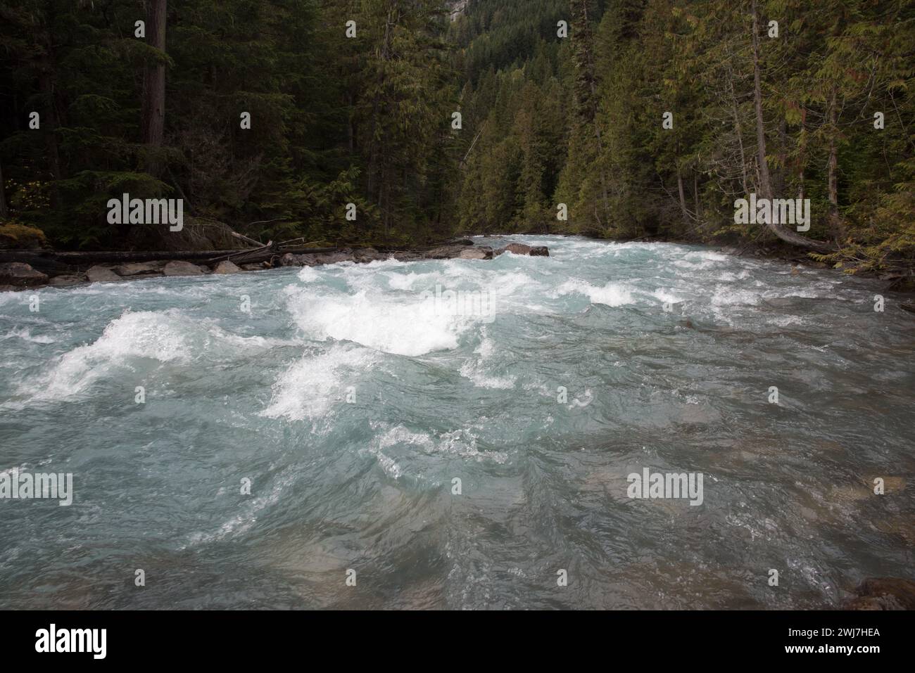 Robson River is running towered by the highest mountain of the Canadian ...