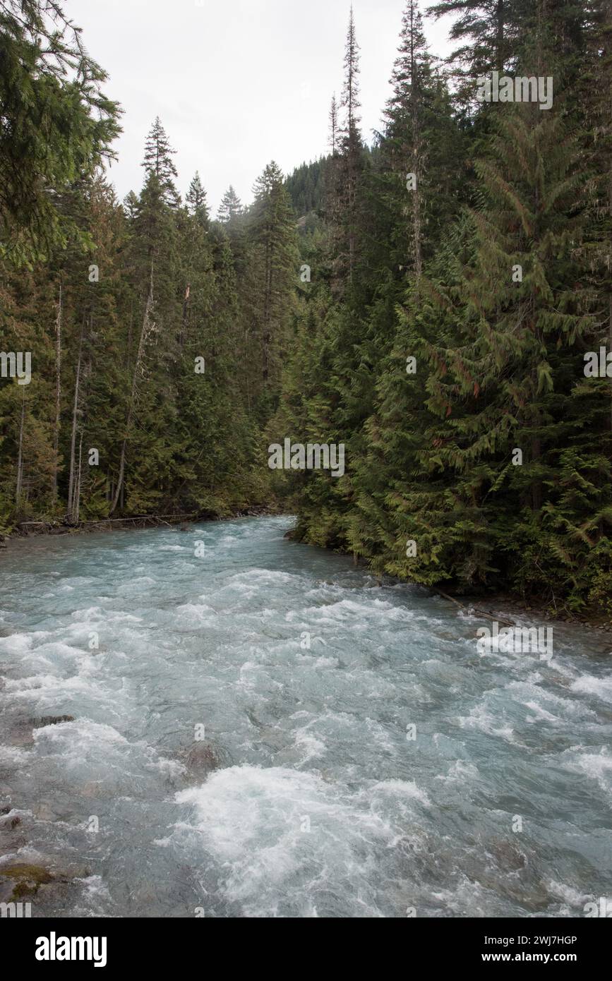 Robson River is running towered by the highest mountain of the Canadian ...