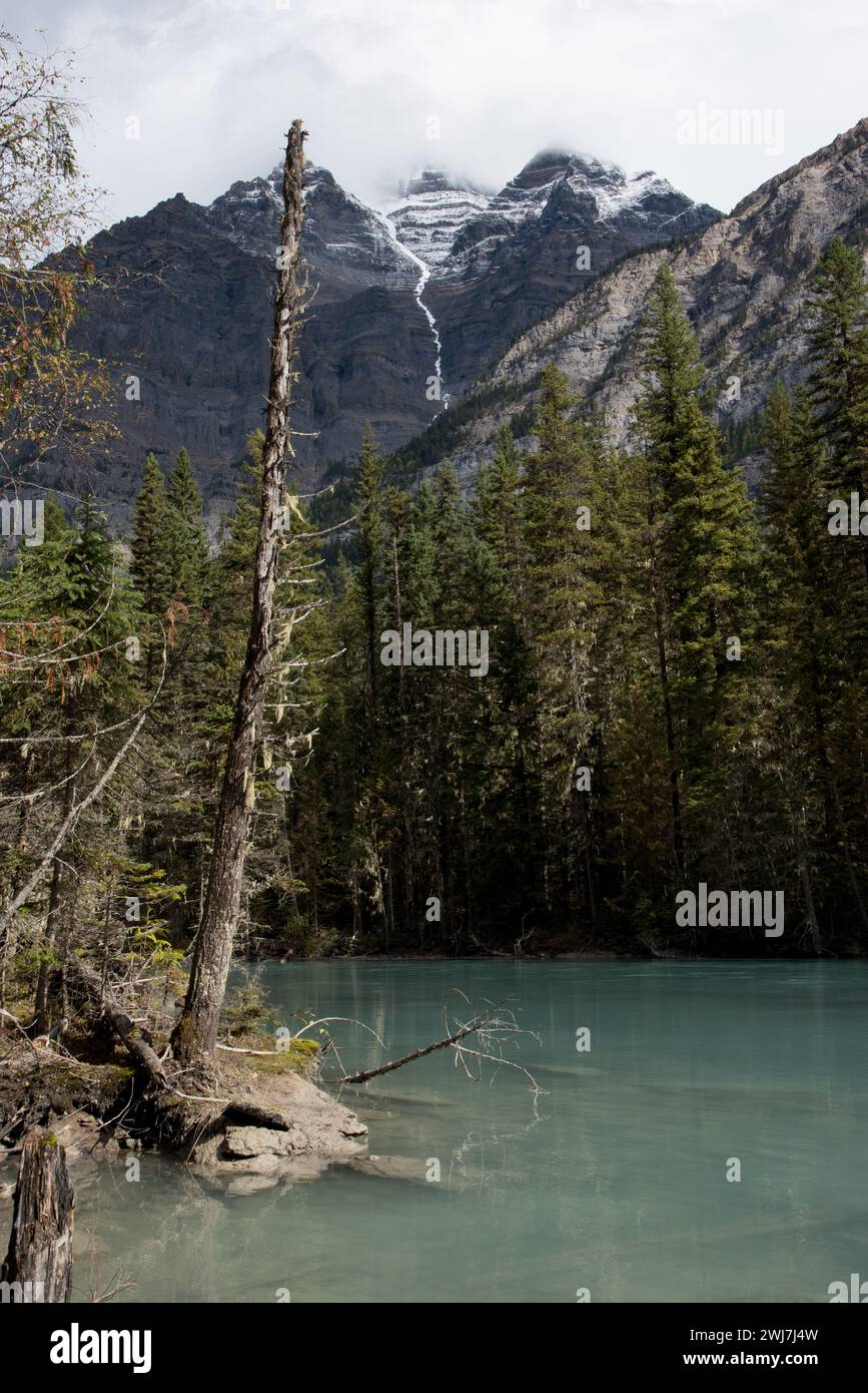 Robson River is running towered by the highest mountain of the Canadian ...