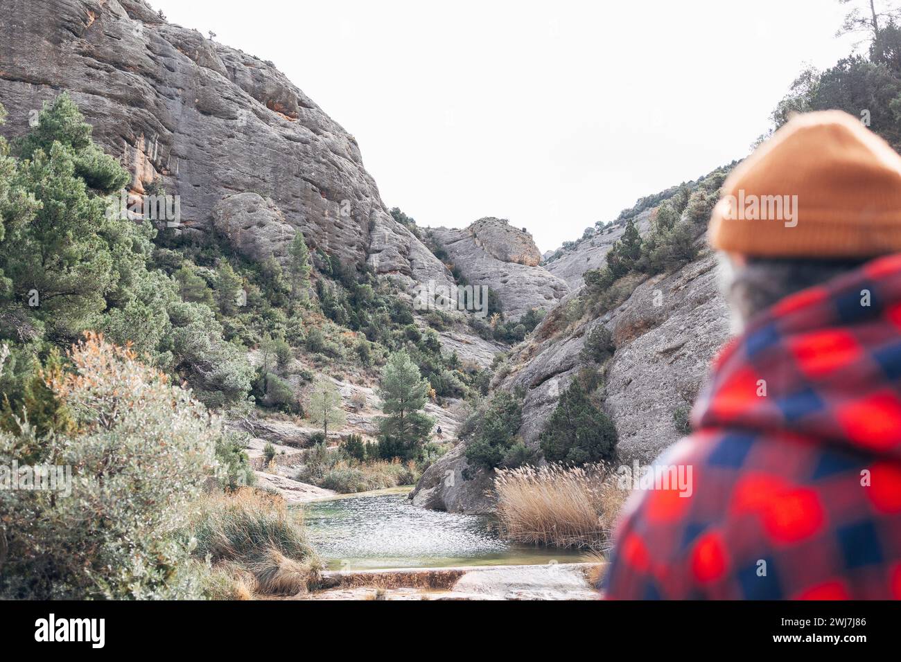Man standing on forest path hi-res stock photography and images - Alamy