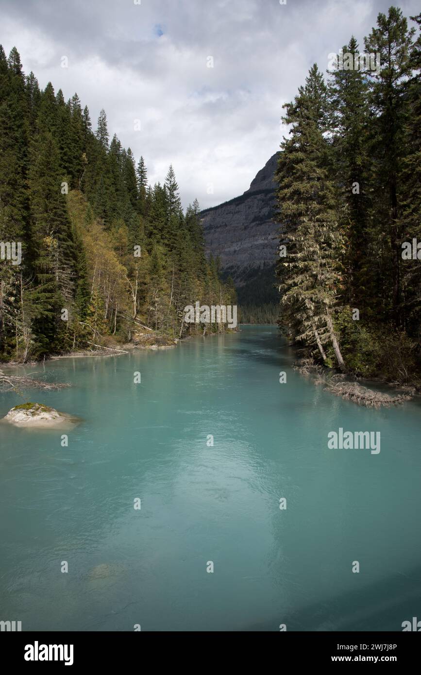Robson River is running towered by the highest mountain of the Canadian ...