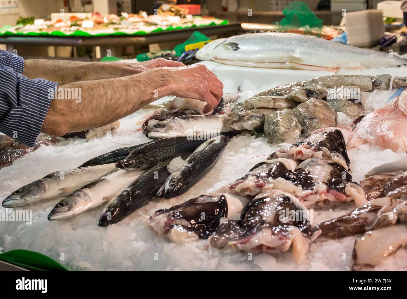 Fishmonger arranging his fish before opening his stall in the old ...