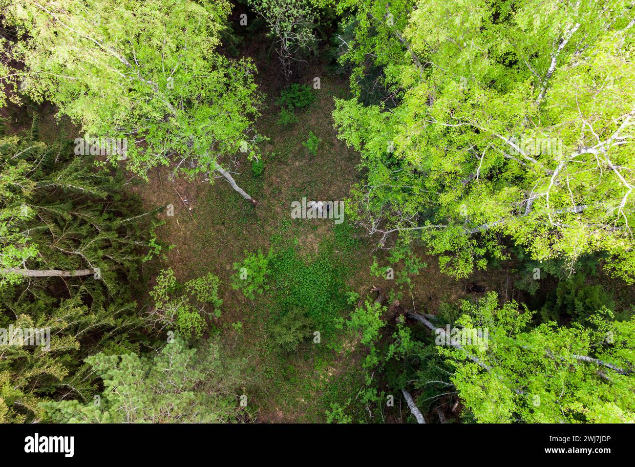 Aerial view above man standing hi-res stock photography and images - Alamy