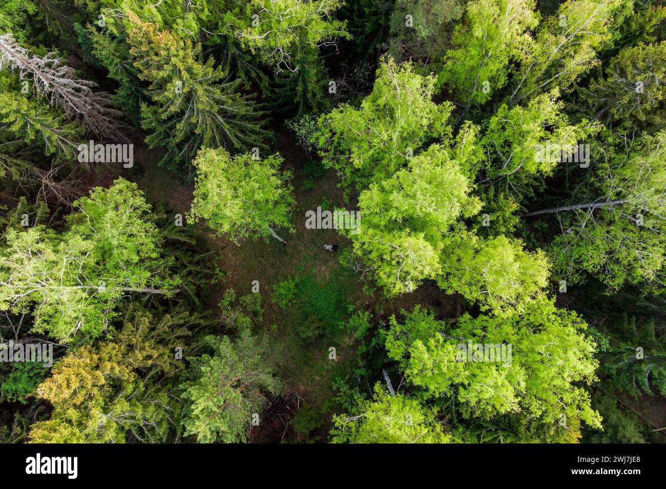 Aerial flight over man standing hi-res stock photography and images - Alamy