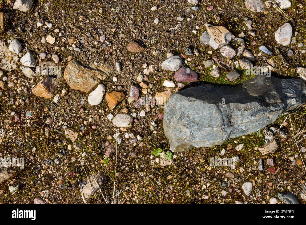 Moraine stones rounded by an ancient glacier on a sand quarry, rocky ...