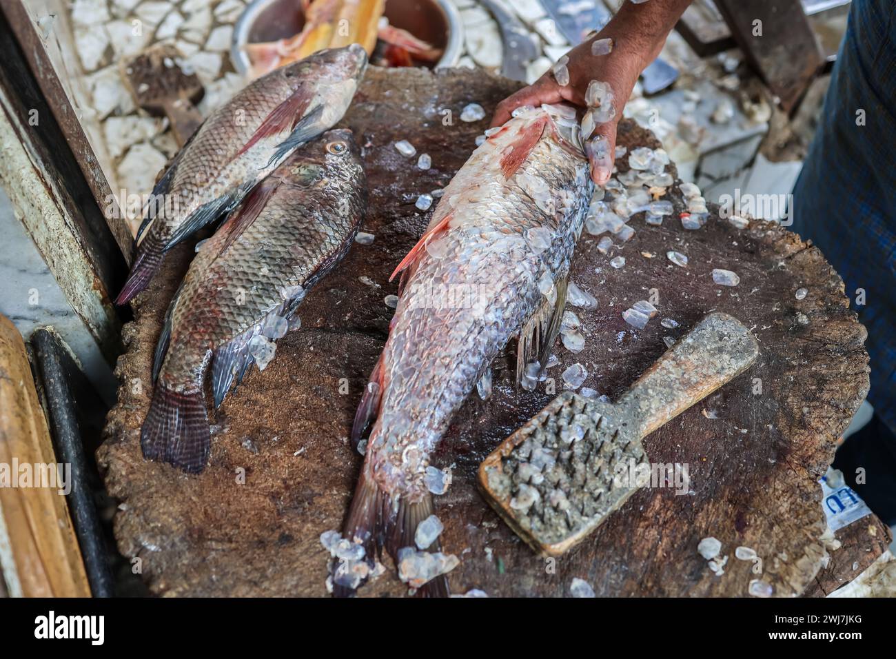 fresh fish cutting at retail shop for sale at day from different angle ...