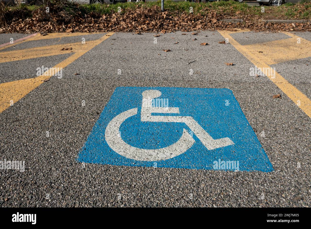 road symbol for disabled parking, white symbol on a blue field as per ...