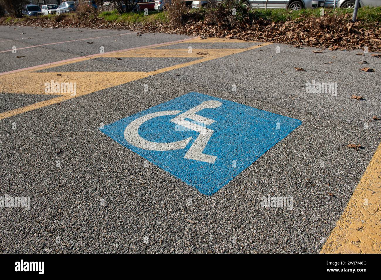 road symbol for disabled parking, white symbol on a blue field as per ...