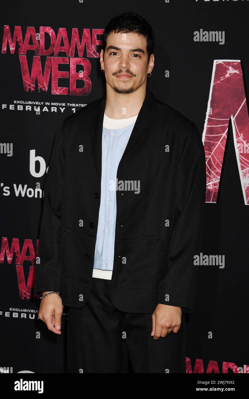 LOS ANGELES, CALIFORNIA - FEBRUARY 12: Aaron Dominguez attends the ...