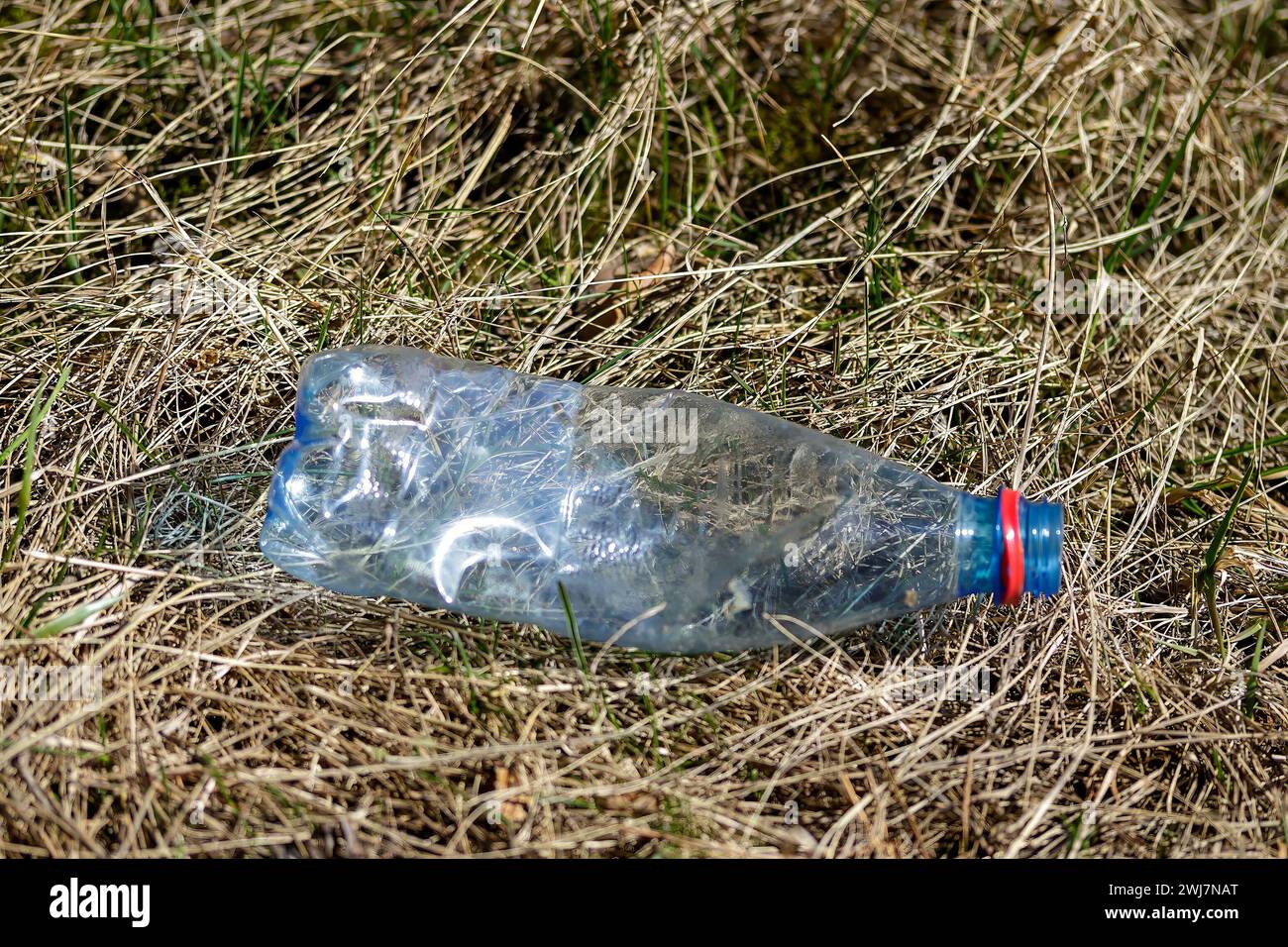 Plastic bottle thrown out in nature among grass. The concept of ...