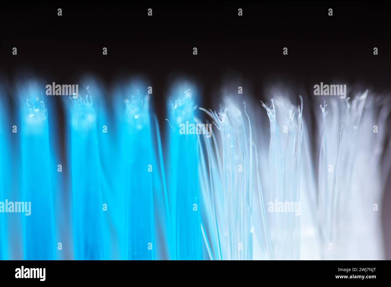 Blue and white bristles of toothbrush macro brightly lit against dark ...