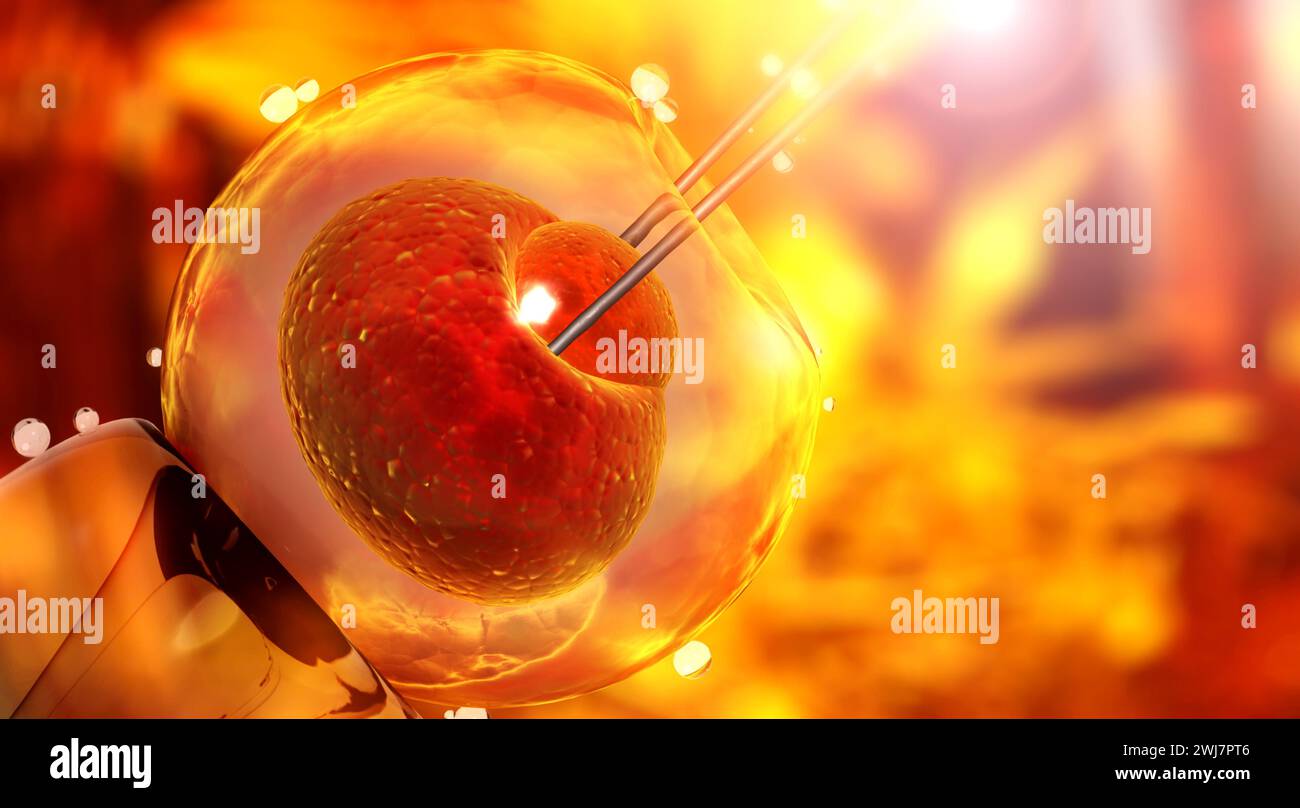 Genetic engineering, GMO and gene manipulation concept. Hi Tech ...