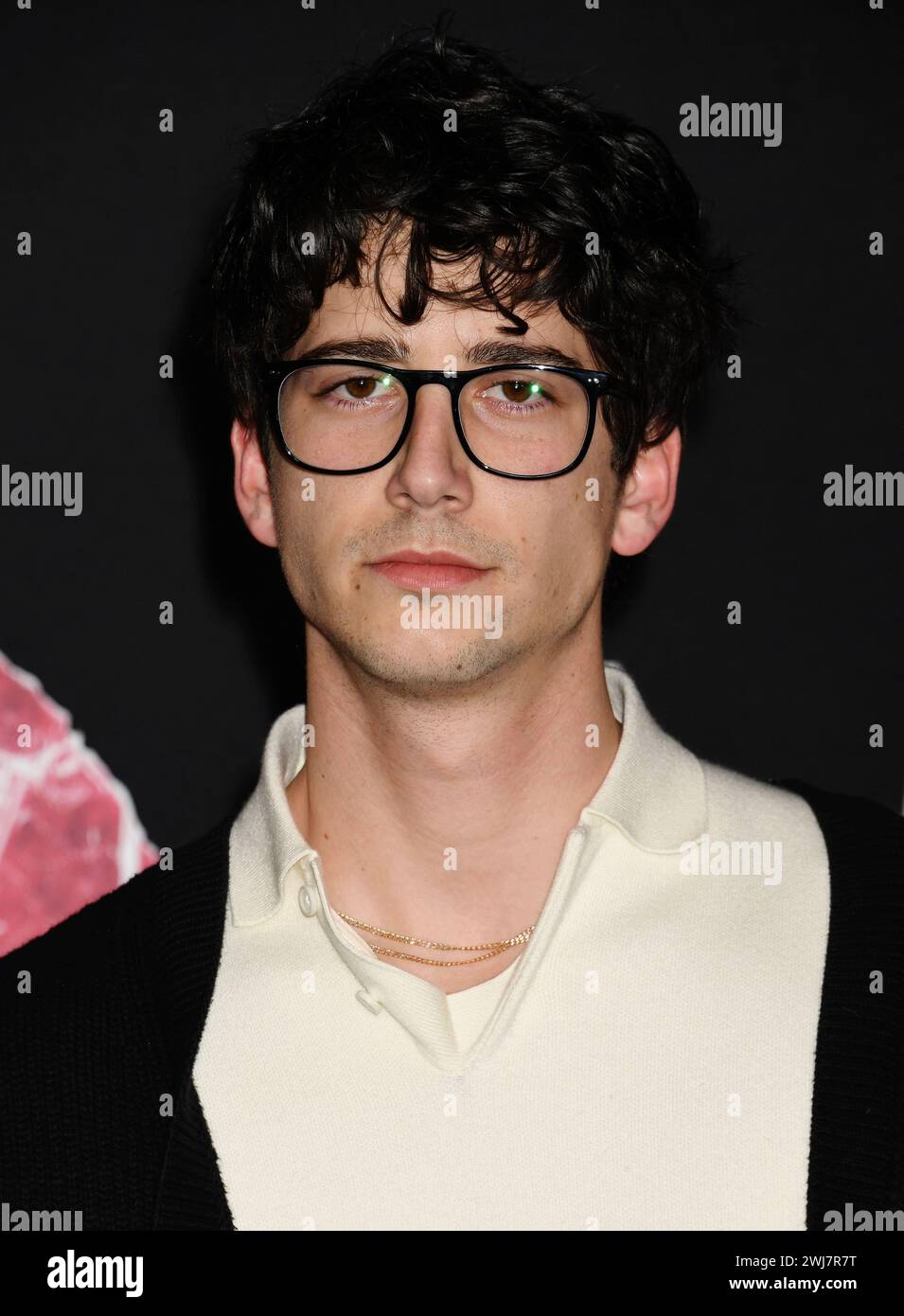 LOS ANGELES, CALIFORNIA - FEBRUARY 12: Milo Manheim attends the World ...