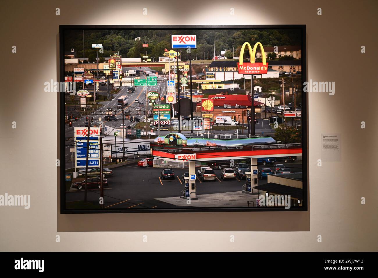 This exhibition marks the largest exhibition ever mounted in the 40 ...