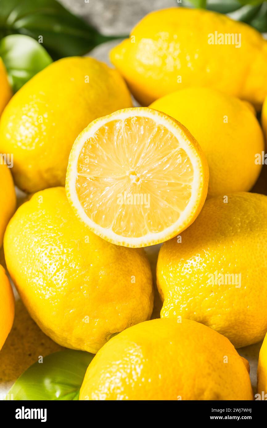 Organic Raw Yellow Seedless Lemons in a Bunch Stock Photo - Alamy