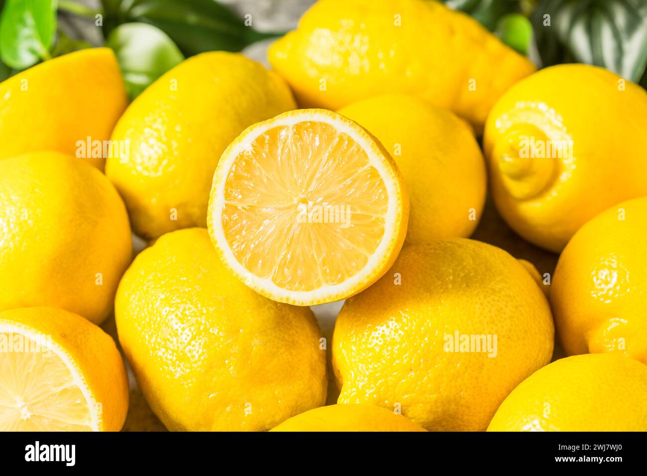 Organic Raw Yellow Seedless Lemons in a Bunch Stock Photo - Alamy